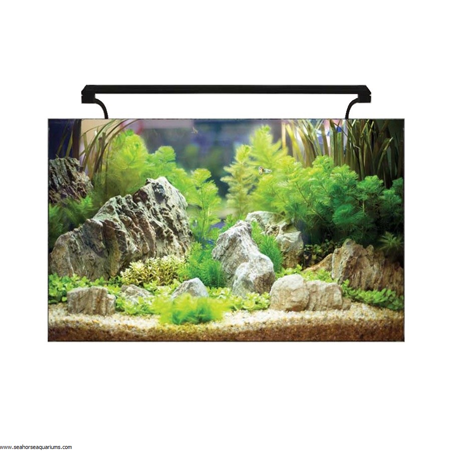 Aqua One AquaNano 60 - Seahorse Aquariums Ltd