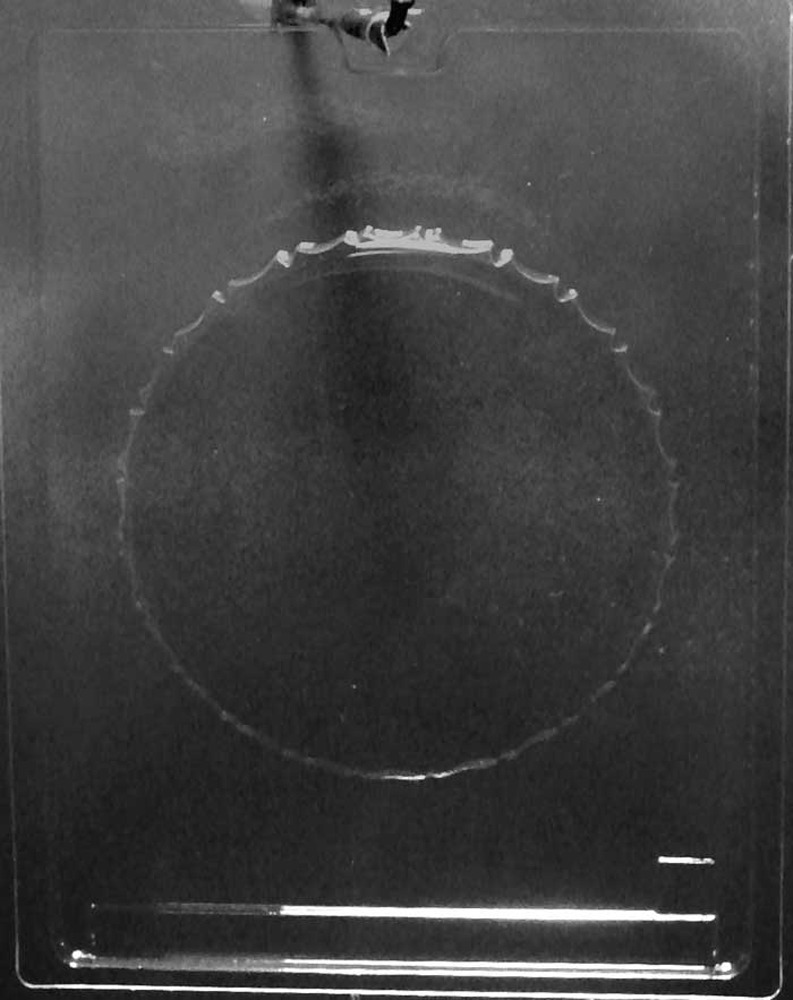 Plain Pour Box Mold Top - Cake Art