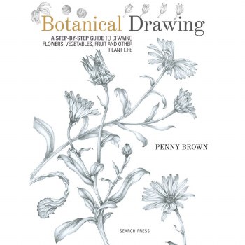 Botanical Drawing - K&M Evans Trading Ltd.
