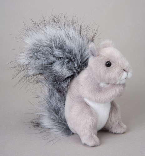 Douglas Shasta Gray Squirrel - The Rugged Mill