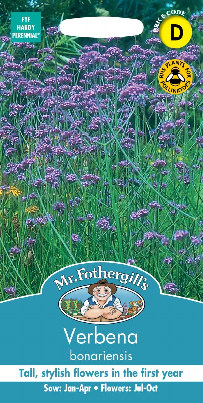 Verbena Bonariensis - Beechdale Garden Centre