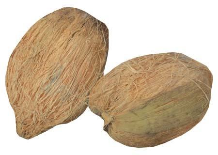 Pooja Dry Coconut (per Piece) - Subhlaxmi Grocers
