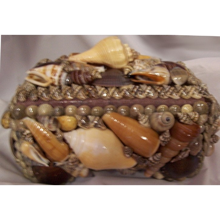 6" Multicolor Mixed Shell Jewelry Box - Wilford & Lee Home Accents