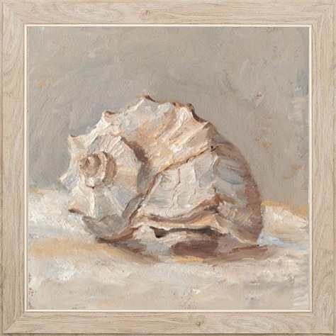 18" Square Textured Snail Shell Framed Print - Wilford & Lee Home Accents