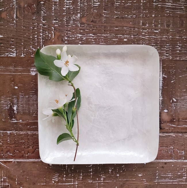 5" Sq White Capiz Plate - Wilford & Lee Home Accents