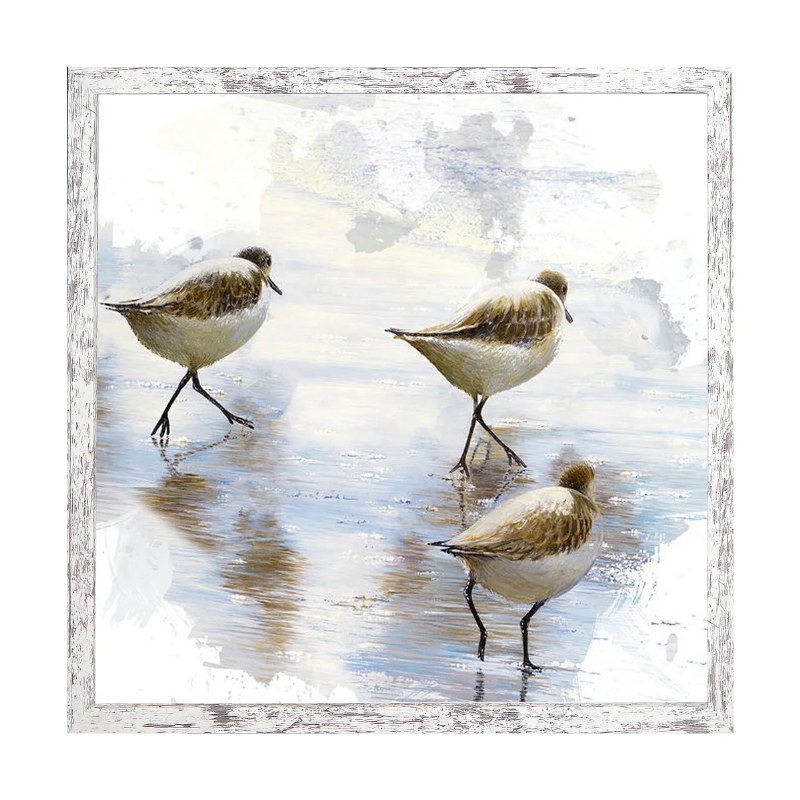 20" Sq Three Sandpipers Gel Print in a Distressed White Frame - Wilford ...