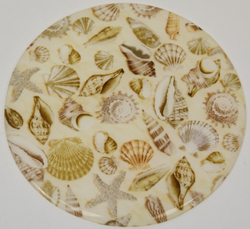 8" Round Brown Sea Shells Trivet - Wilford & Lee Home Accents