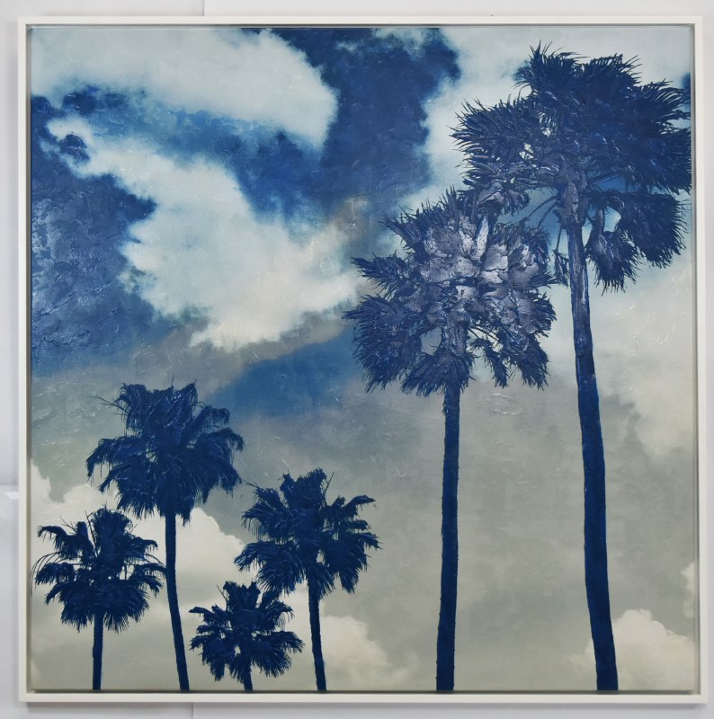 48" Sq Blue Palm Trees Under a Blue Sky Canvas in a White Frame ...