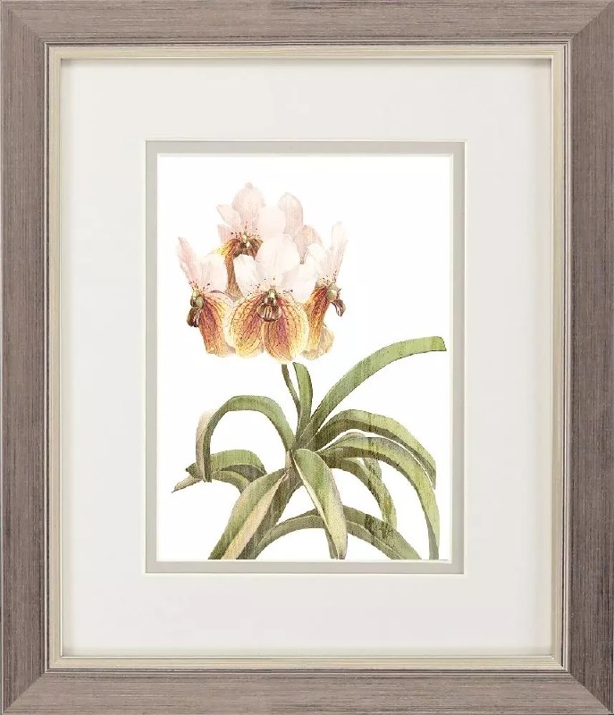 11" x 9" Four Orchids Framed Print Under Glass - Wilford & Lee Home Accents