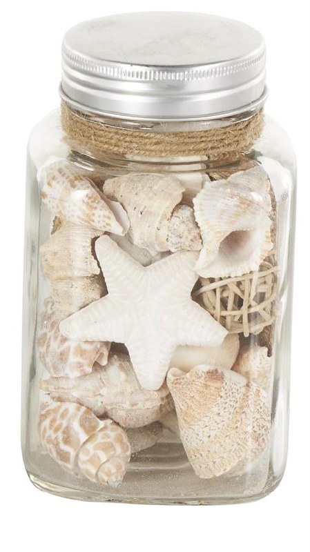 6" Light Brown Seashells in a Glass Jar - Wilford & Lee Home Accents