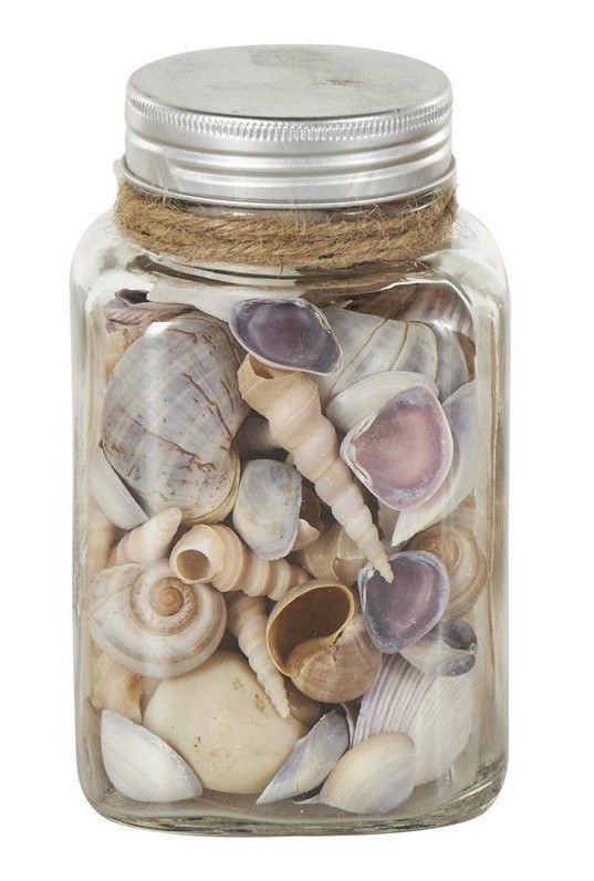 6" Natural Light Seashells in a Glass Jar - Wilford & Lee Home Accents