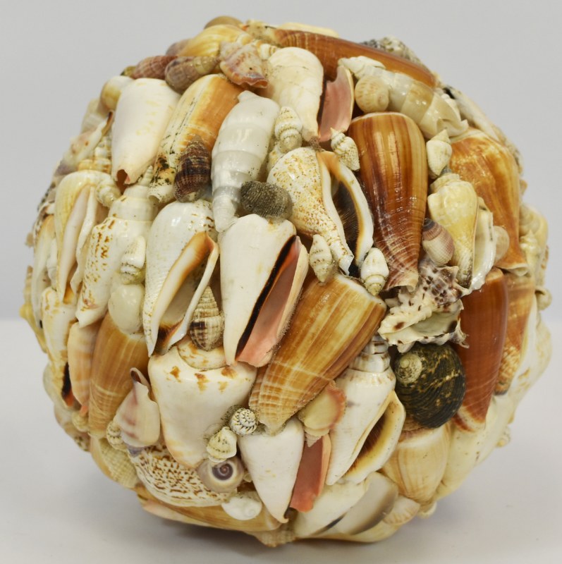 5" Mixed Seashell Orb - Wilford & Lee Home Accents