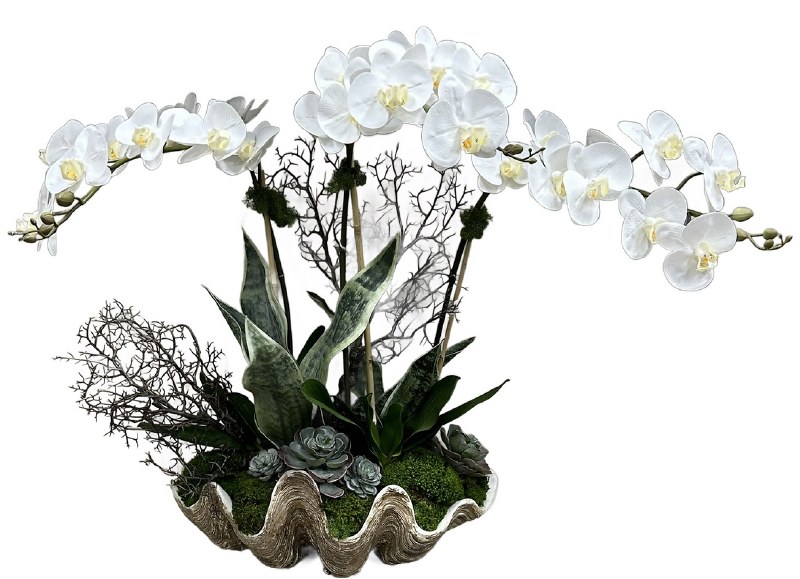 29" Three Faux White Orchids in a Clam Shell Bowl - Wilford & Lee Home ...