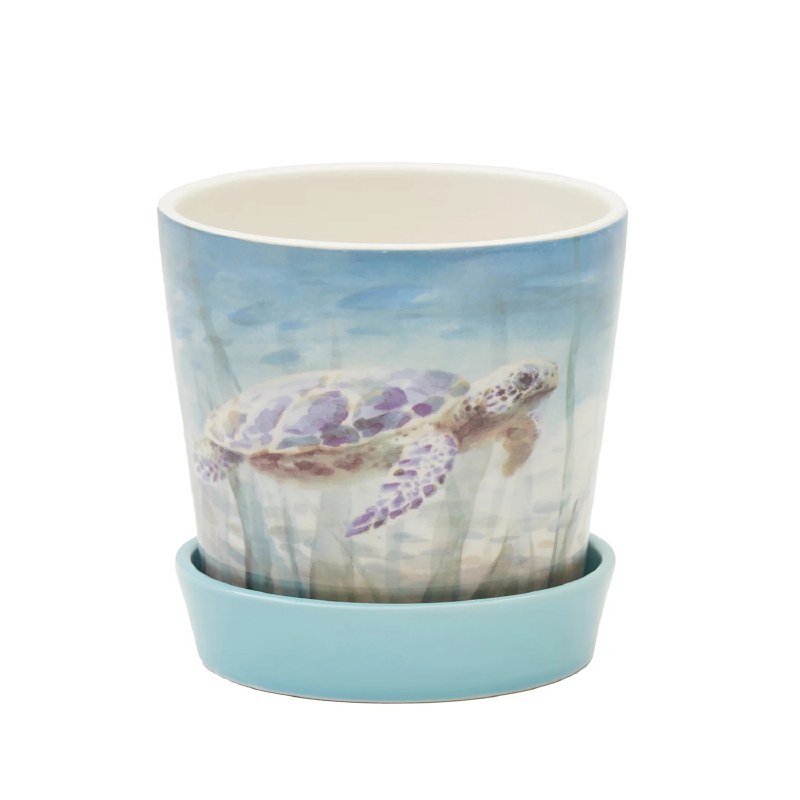 5" Light Blue Sea Turtle Pot With a Saucer - Wilford & Lee Home Accents