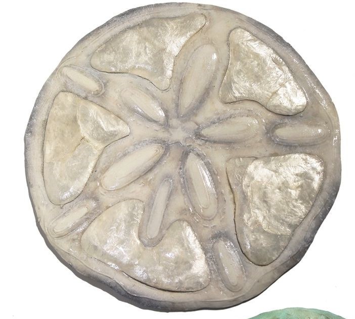 10" Round Multipastel Coastal Sand Dollar Capiz Wall Art Plaque ...