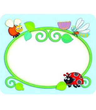 Name Tag Insects - Evans Educational Ltd.