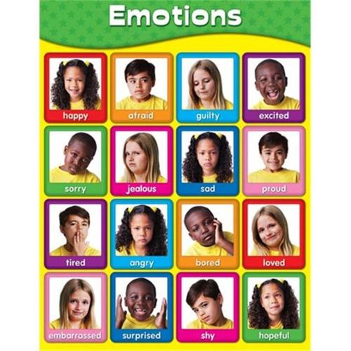 Poster Emotions - Evans Educational Ltd.