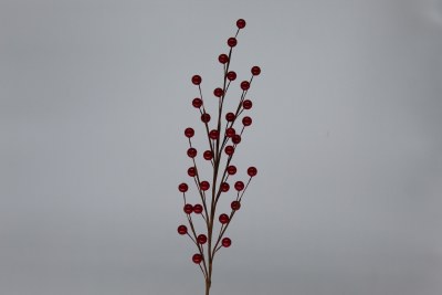 RED BERRY PICK - Kohl’s Stony Hill Tree Farm