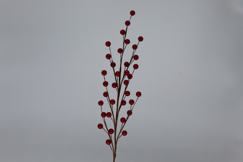 RED BERRY PICK - Kohl’s Stony Hill Tree Farm