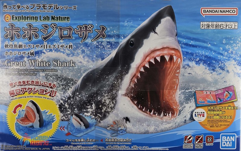 Great White Shark Plastic Model Kit