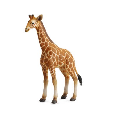 COLLECTA GIRAFFE CALF - MARCO'S EMPORIUM