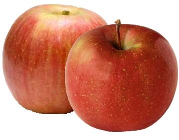 Apples Fuji -- Per Lb - SAMI'S FAIRFAX GROCERY