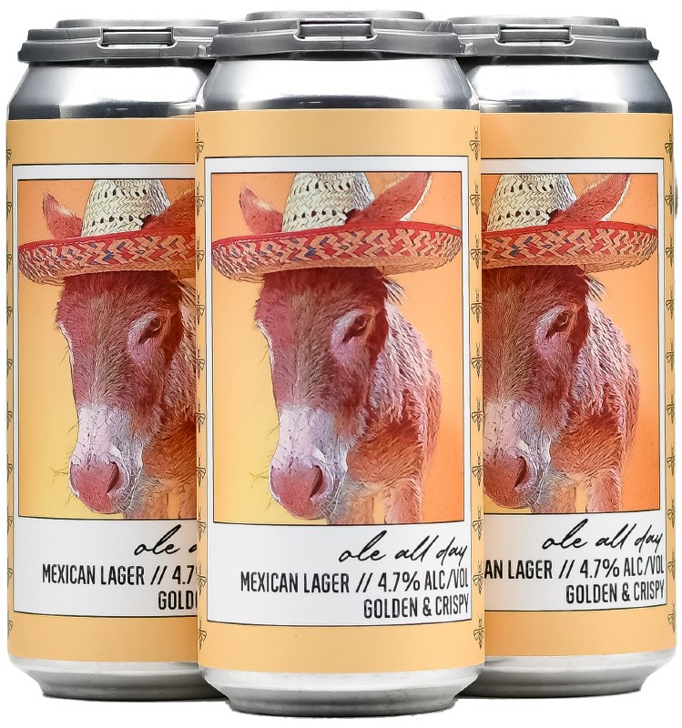 Social Project Ole All Day 4pk 16oz Can - Legacy Wine and Spirits