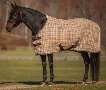 Deluxe Baker Sheet (72") - Equine Tack&Nutritionals