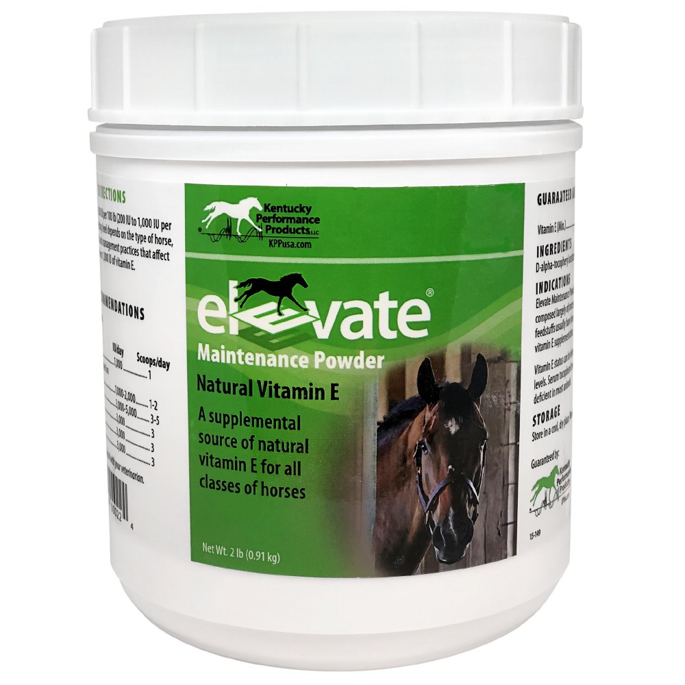 Elevate Maintenance Powder (2 lb) - Equine Tack&Nutritionals