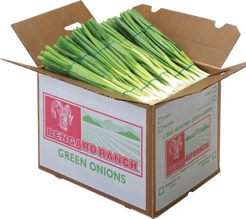 Green Onion Case 48ct - Keemat Grocers