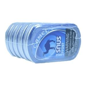 Camel Snus Frost - Ravi's Import Warehouse