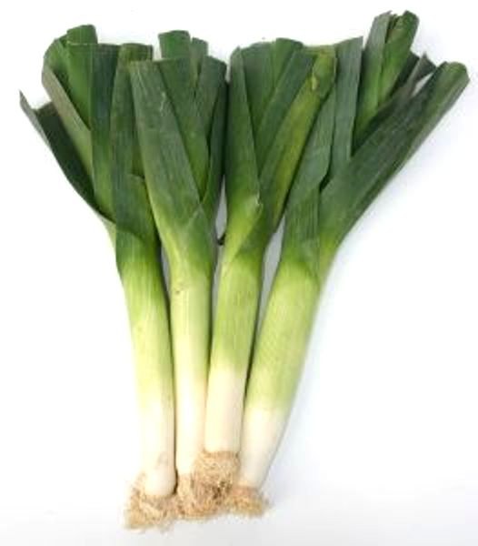 leek bunch - Wray Organic Online