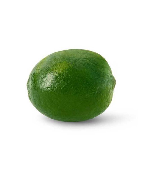 Lime - By the Each - Roberts Seafood Market