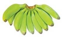 Green rulo banana per Piece - EZ INDIAN GROCERY