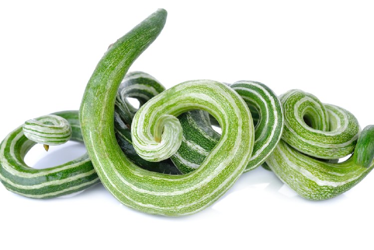 Snake Gourd per lb - EZ INDIAN GROCERY