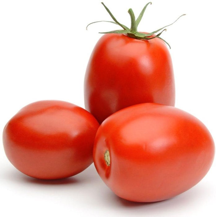 Tomato 1 LB - EZ INDIAN GROCERY