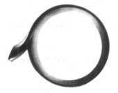 RIGHT HEAD LAMP FRAME W HOLE - C. OBERT & CO.