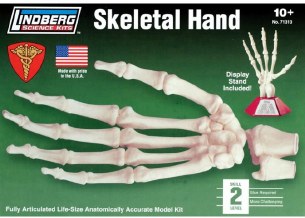 SKELETON HAND - Nicholas Smith Toys