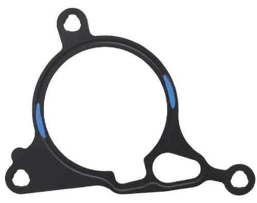 Vacuum Pump Gasket - Concept-1