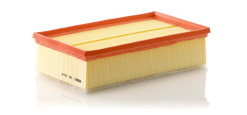 Mann Air Filter C30004 - Concept-1