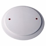 Hydro-bat - The Ceramic Shop