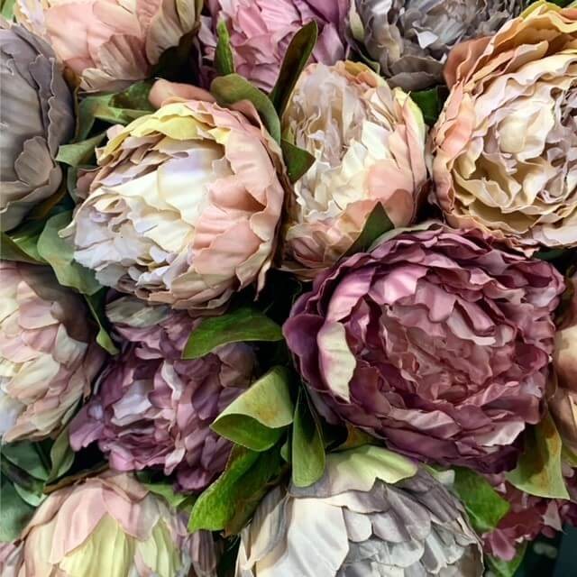 Dried Flowers| Wholesale florist supplies from floralsundries.com ...
