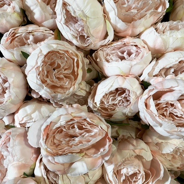 New Products - www.floralsundries.com : Trevor Green Floral Sundries