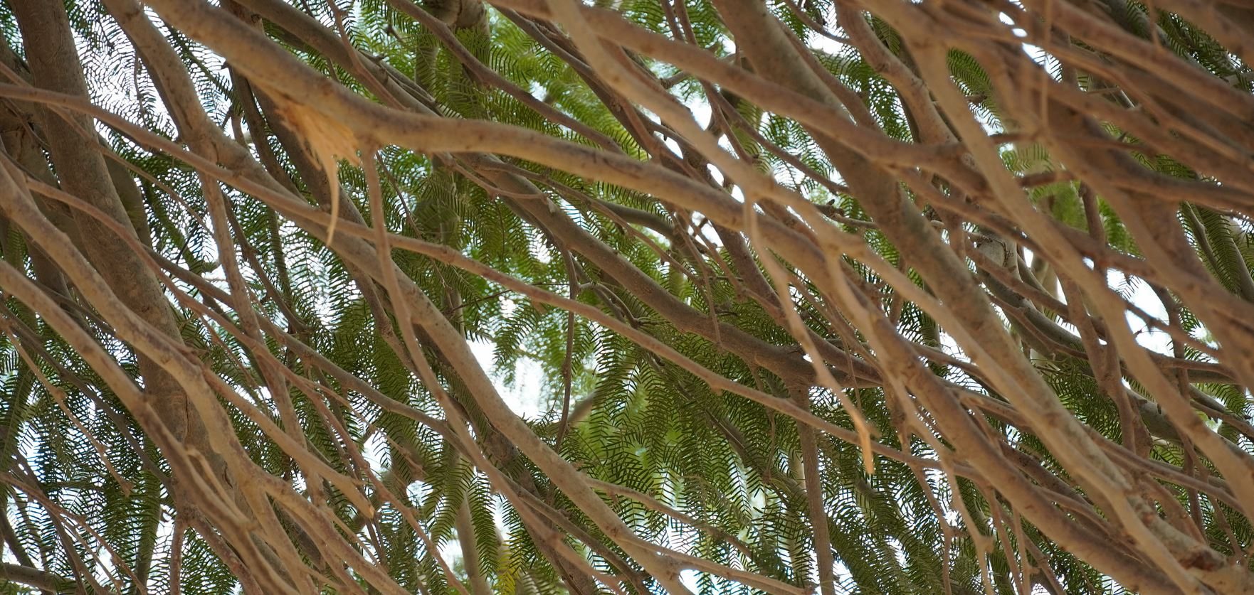 Sustainable Furniture Choices for an Eco-Friendly Home - D.O.T ...