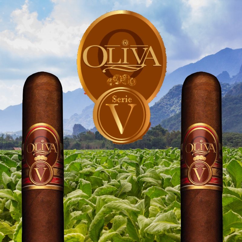 Oliva Serie V Cigars - Buy Premium Cigars Online From 2 Guys Cigars
