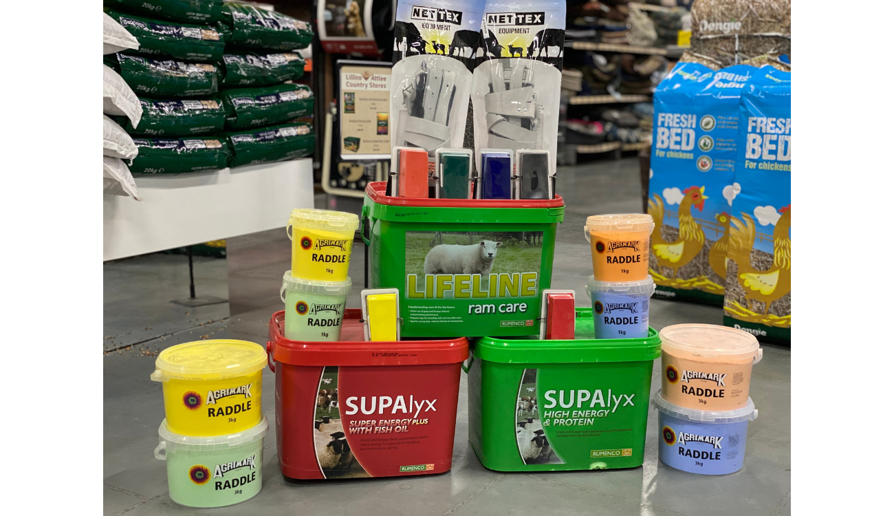 Getting Ready for Tupping Season - Lillico's Aylesford