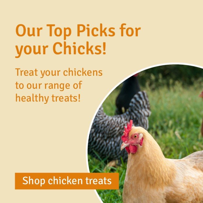 Home - Lillico's Aylesford