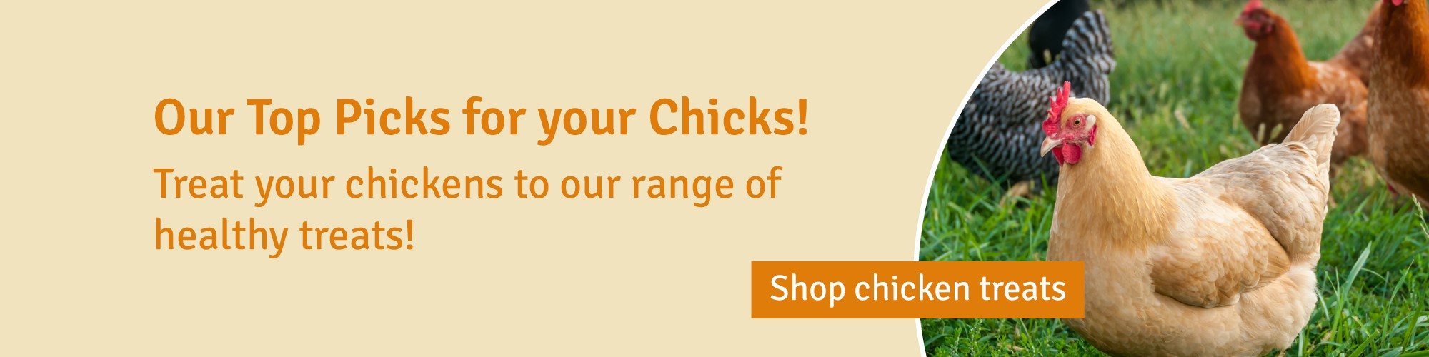 Home - Lillico's Aylesford