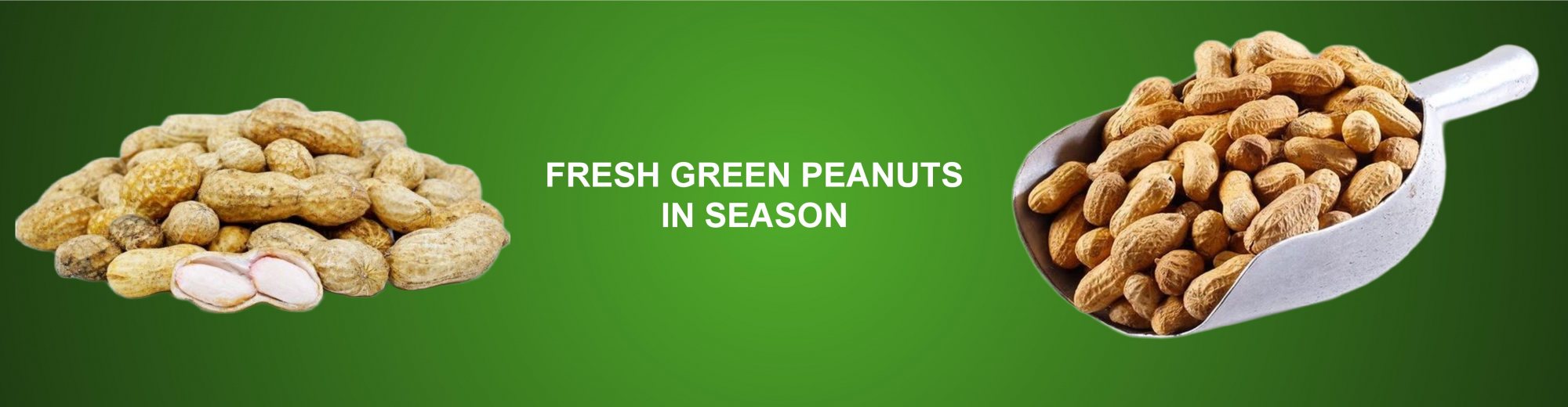 Home - EZ INDIAN GROCERY